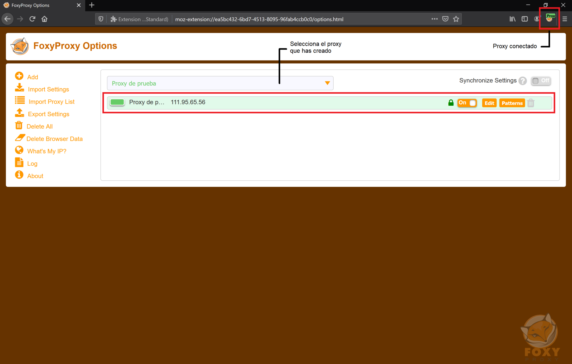 How to configure a proxy with FoxyProxy